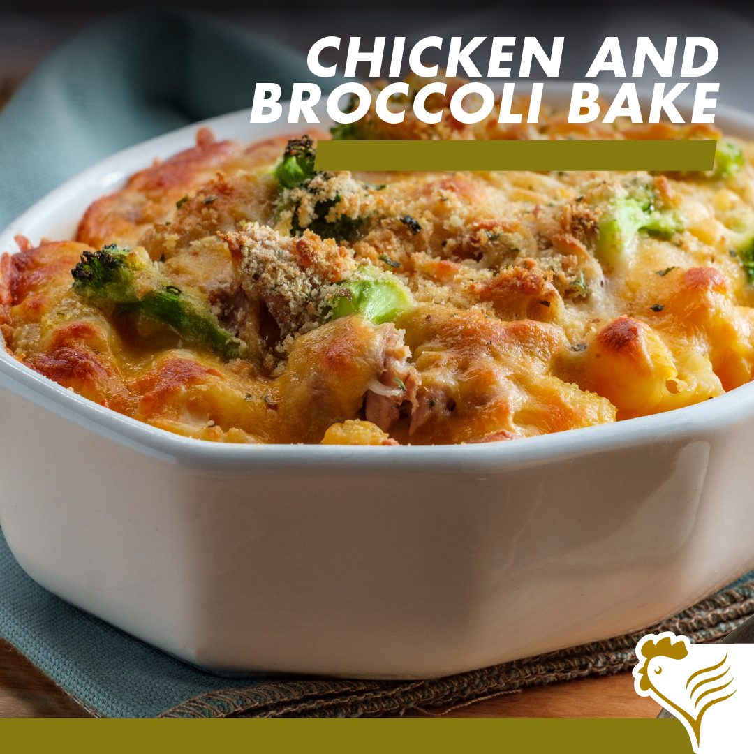 Creamy Chicken & Broccoli Bake - Grain Field Chickens